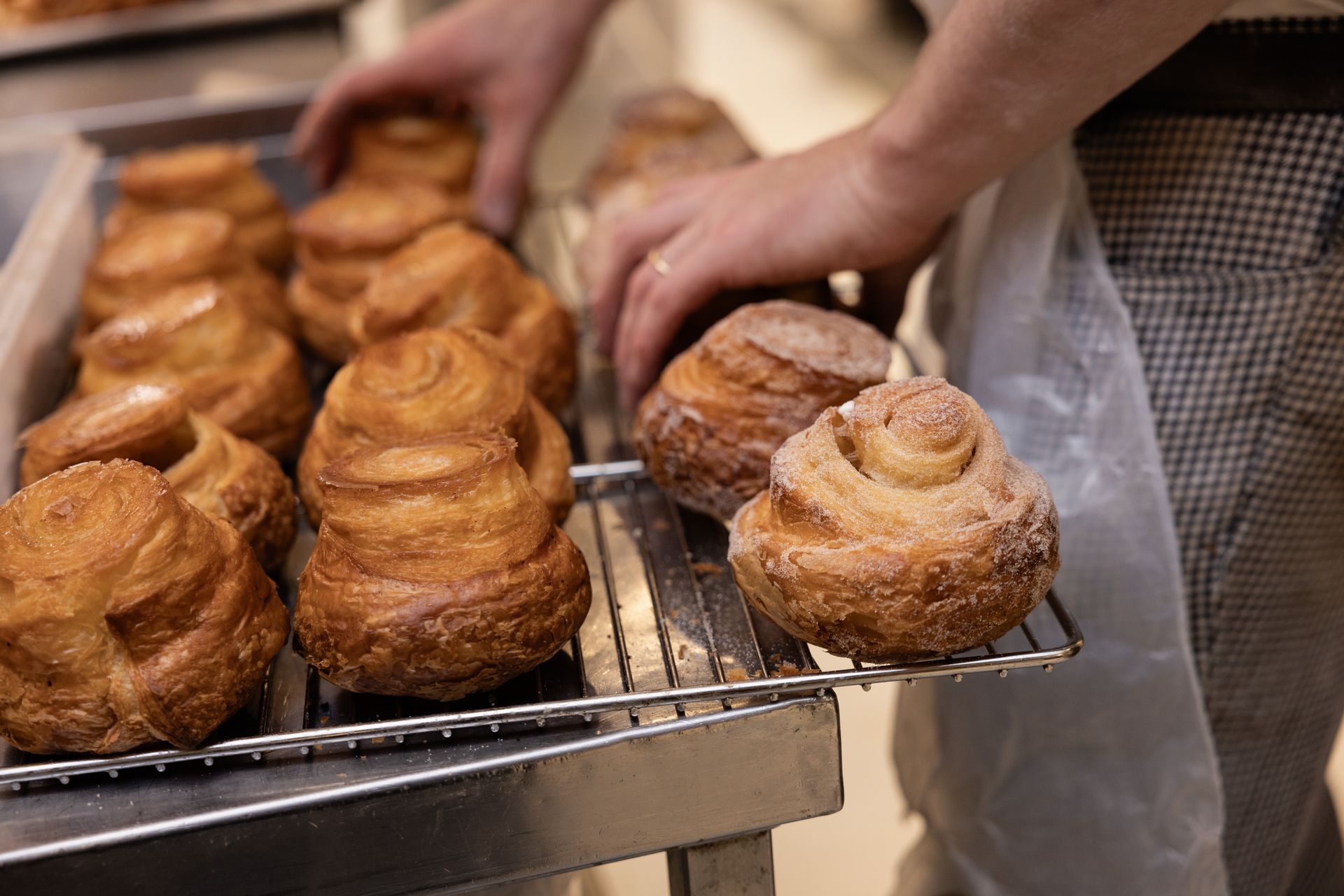 Home | Renard Bakery