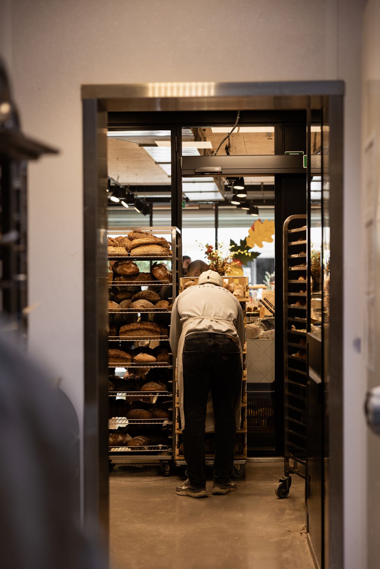 Home | Renard Bakery